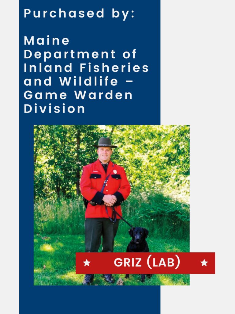 2022 Patriotic Puppy Program Graduates – American Kennel Club