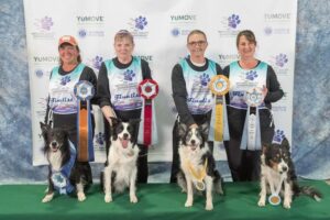 Meet the AKC National Agility Championship Winners for 2023