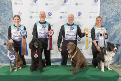 Meet the AKC National Agility Championship Winners for 2023