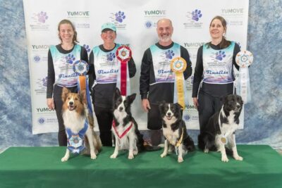 Meet the AKC National Agility Championship Winners for 2023
