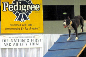 History of Dog Agility: The Evolution of the Fast-Paced AKC Sport ...