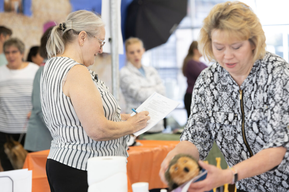 Dog Show Ring Stewards – American Kennel Club