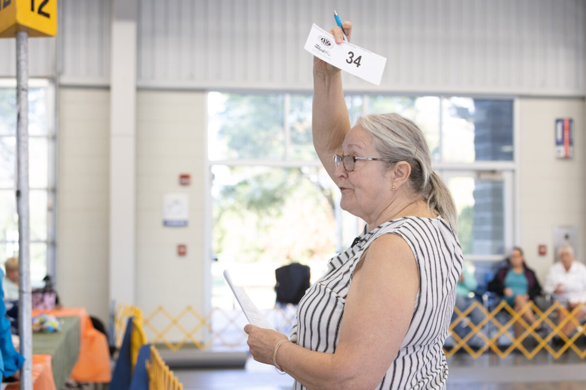 Dog Show Ring Stewards – American Kennel Club