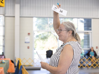 Dog Show Ring Stewards – American Kennel Club