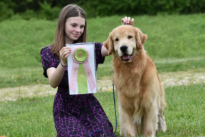 Sassafras Lowrey, CTDI, Author at American Kennel Club