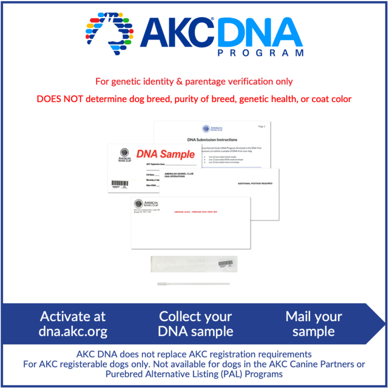 DNA Test Kits