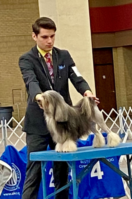 The Towell Brothers Compete as Juniors in 2023 Westminster