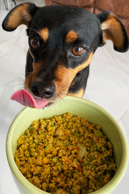 The Facts on Fiber in Dog Food
