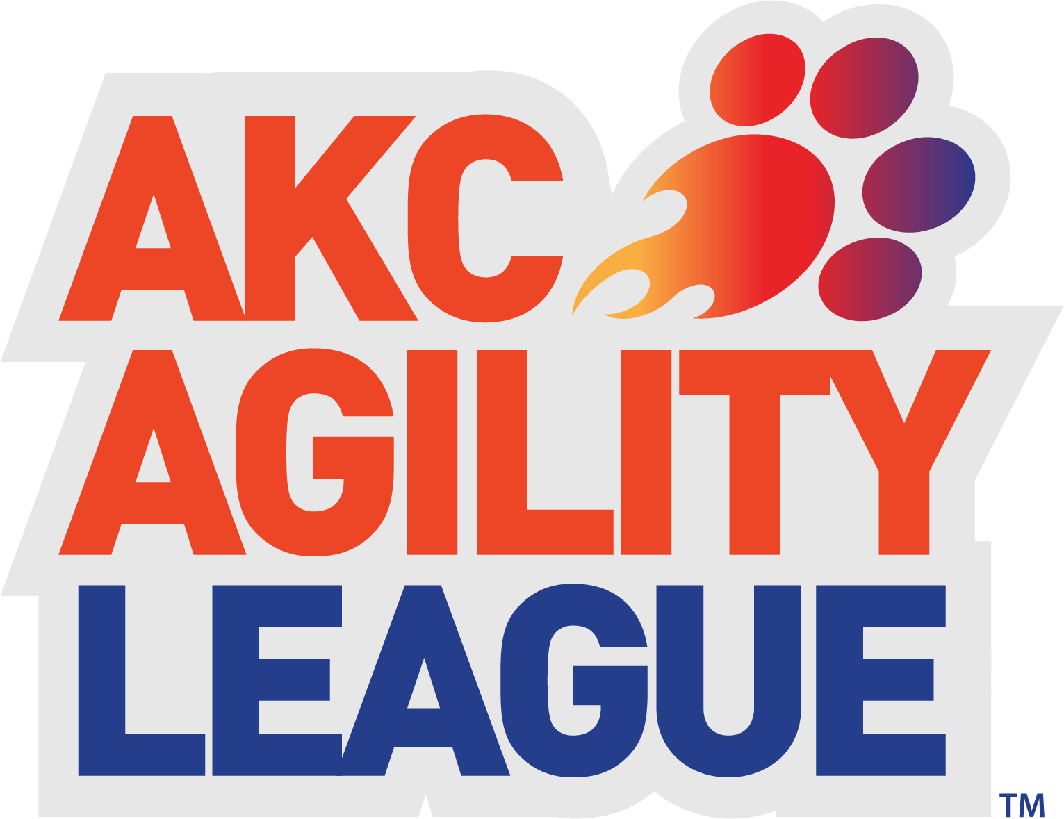 How To Get Started in AKC Agility League – American Kennel Club