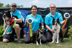 Dog Sports & Agility Competitions: Canine Sport & Obedience