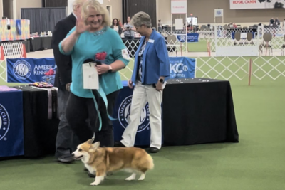 Meet the Winners of the 2023 AKC Rally National Championship