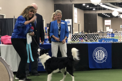Meet the Winners of the 2023 AKC Rally National Championship