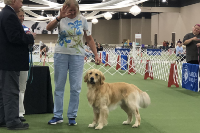 Meet the Winners of the 2023 AKC Rally National Championship