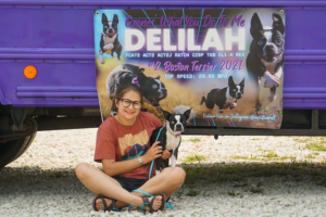 Boston Terrier 'Delilah' Competes in AKC Fastest Dog 2023