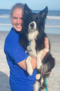 Border Collie 'Jive' is Oldest Competitor at AKC Agility Premier Cup