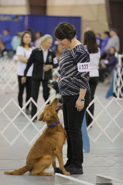 Korin Bevis Continues Reaching New Heights in Obedience