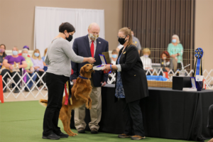 Korin Bevis Continues Reaching New Heights in Obedience