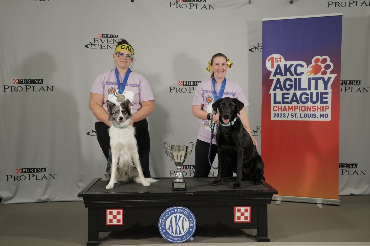 2024 AKC Agility League™ Championship – American Kennel Club