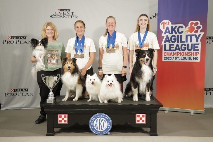 2024 AKC Agility League™ Championship – American Kennel Club