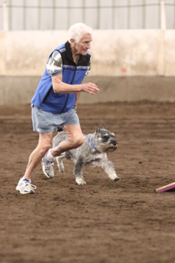 92-Year-Old Dot Dobie Competes in Agility With Standard Schnauzers