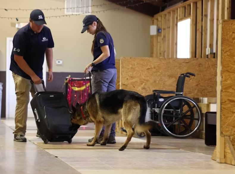 New Video Highlights Programs to ‘Educate and Empower’ Detection Dog ...