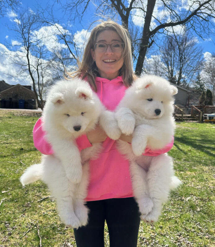 AKC Breeder Spotlight: Terri & Rachel Sigulinsky of Snowbright Samoyeds ...