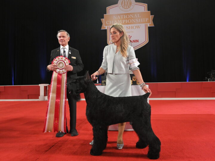 AKC National Championship Dog Show Presented by Royal Canin