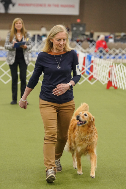 Meet 'Boom,' the Oldest Dog at the 2023 AKC Obedience Classic