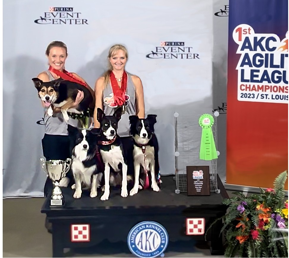 AKC Agility League Announces Fall 2023 Season Winners – American Kennel ...