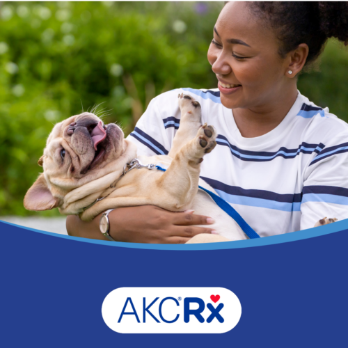 Products & Services – American Kennel Club