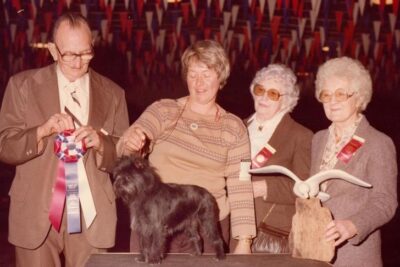 The History of Conformation Dog Shows: The Evolution of Showing Dogs