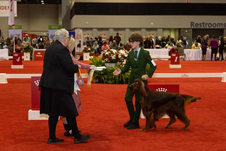 Junior Handler Adam Kucera and his Irish Setter Are Making Moves
