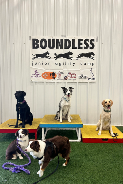 Meet New York Junior Handler Gabriella Casanova