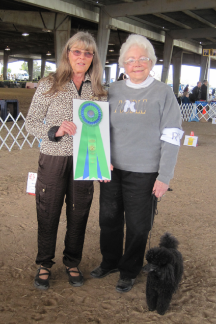 Donna Fox: Obedience With Poodles Over Seven Decades