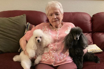 Donna Fox: Obedience With Poodles Over Seven Decades