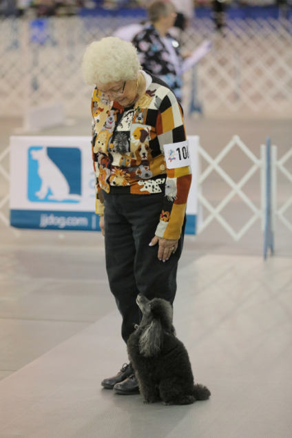Donna Fox: Obedience With Poodles Over Seven Decades