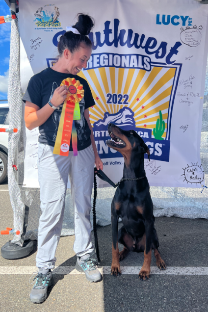 Doberman Pinscher 'Jet' Takes on 2024 AKC Diving Dogs Challenge