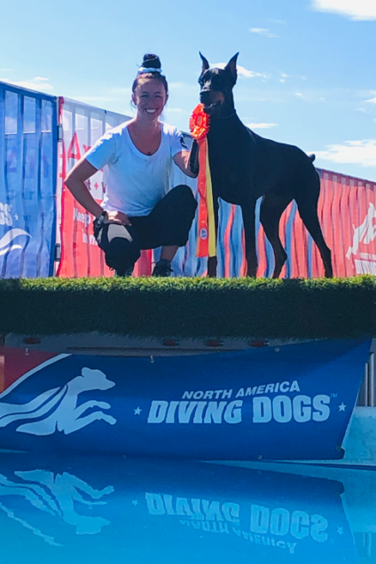 Doberman Pinscher 'Jet' Takes on 2024 AKC Diving Dogs Challenge