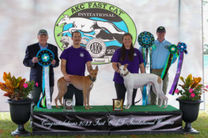 Fast CAT – American Kennel Club