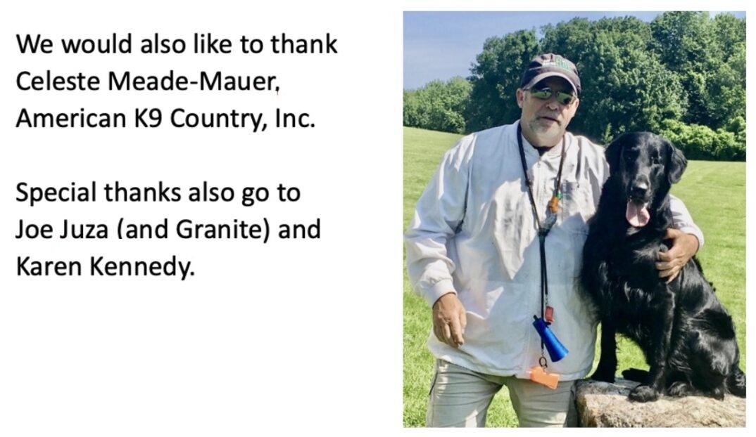 Videos – American Kennel Club