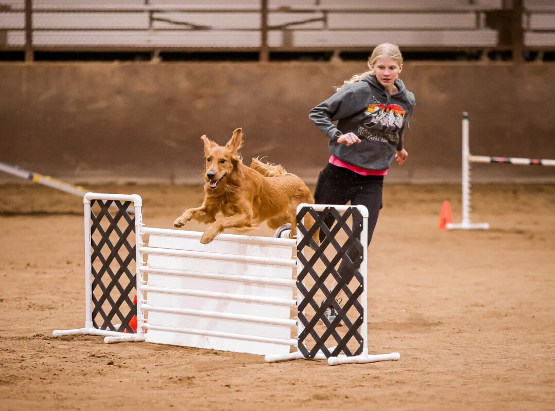 In Their League: Junior Handlers Gain Experience on League Teams ...