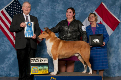 From Junior Handler to Professional Handler: Making the Transition