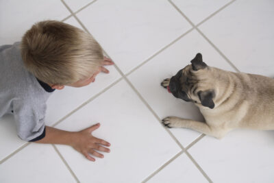 How to Help Your Dog Be Less Fearful of Strangers – American Kennel Club