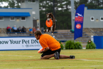 AKC Disc Dog Challenge: Chad Gerber and All-American Dog 'Citra'