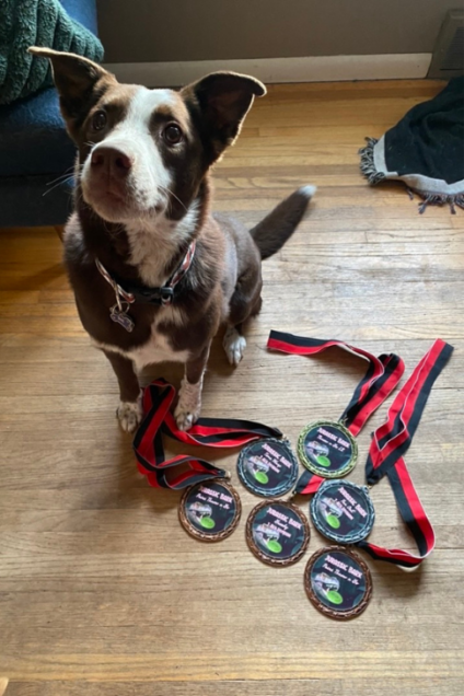 AKC Disc Dog Challenge: Chad Gerber and All-American Dog 'Citra'