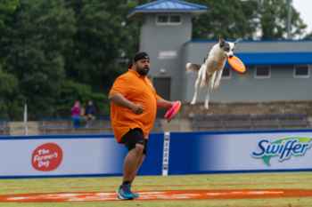 2024 Disc Dog Challenge Winners Crowned in Four UpDog Events