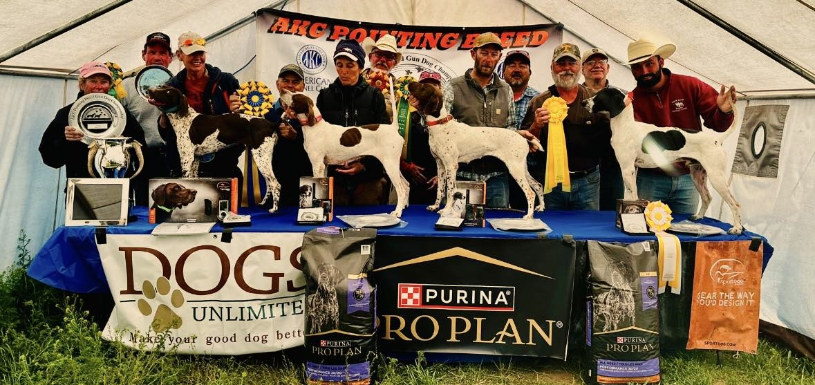 2024 AKC Gun Dog Championships – American Kennel Club