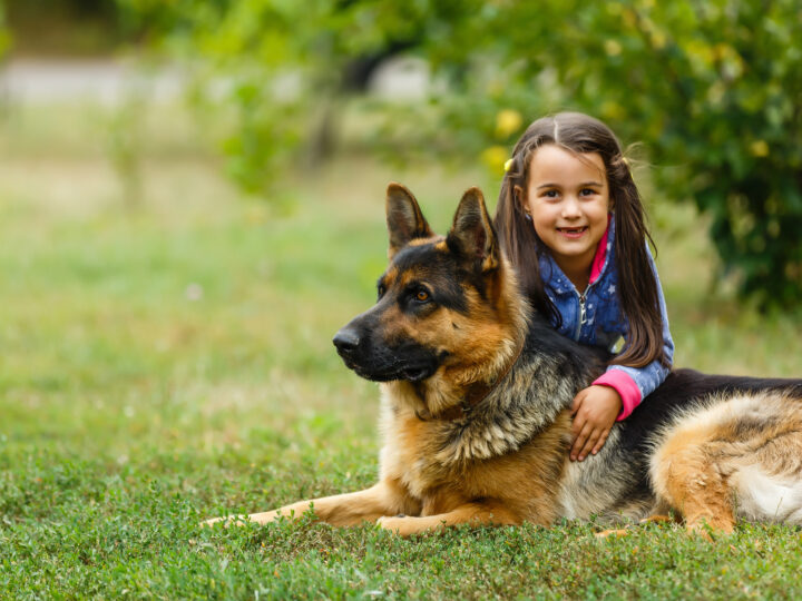 AKC Character Education Program – American Kennel Club