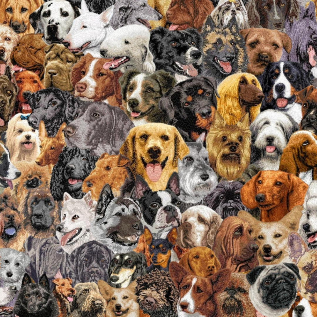 Products & Services – American Kennel Club