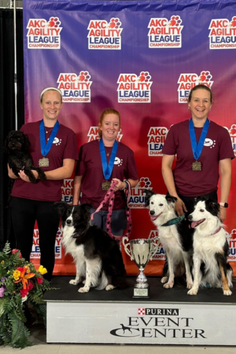 Meet the Winners of the 2024 AKC Agility League Championships